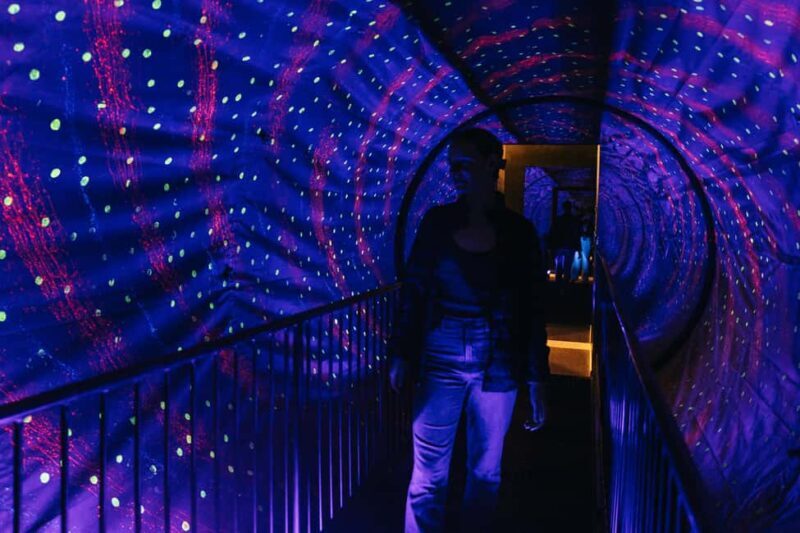 Lyon: Musée de lillusion Entrance Ticket - Key Points