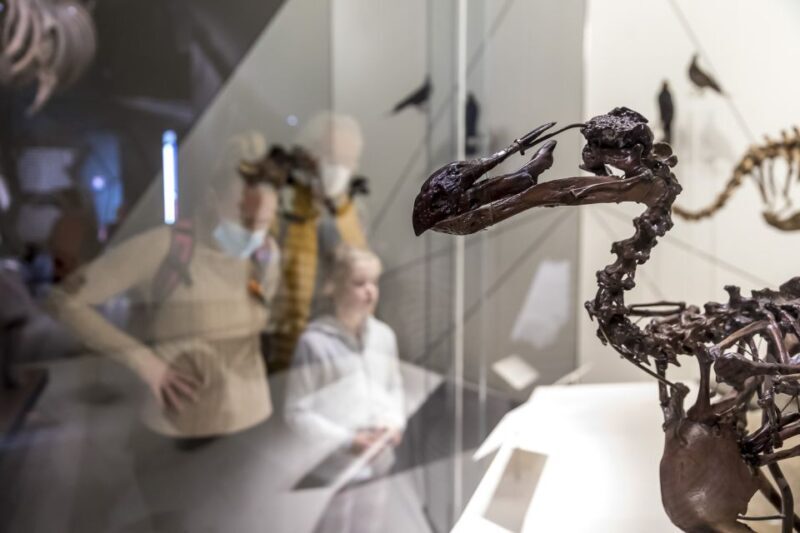 Lyon: Musée des Confluences Entrance Ticket - Key Points