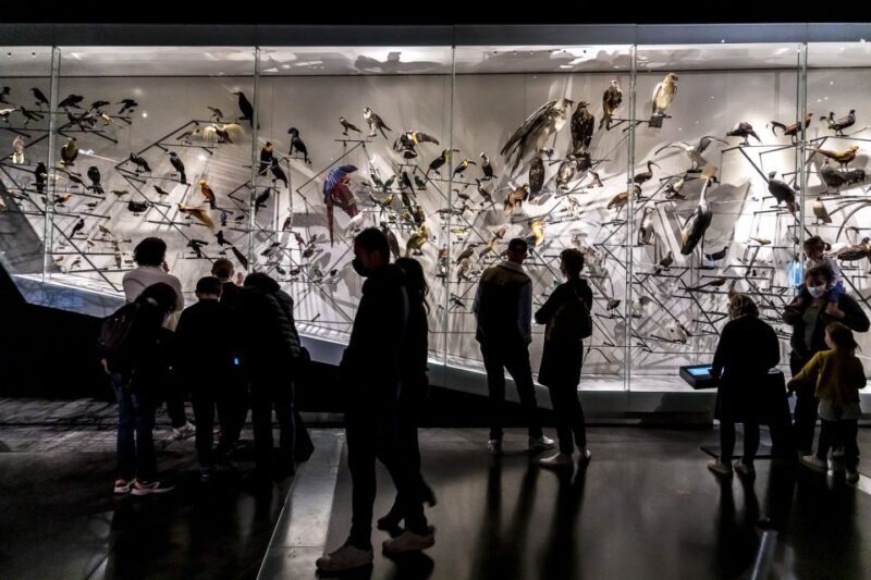 Lyon: Musée des Confluences Entrance Ticket - The Sum Up