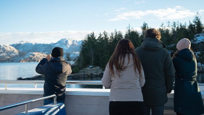 Lysefjorden cruise & Preikestolen guided hike - winter - Who Will Love This Tour?