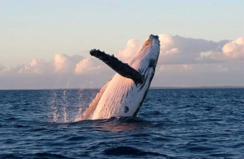 Lyttelton Port: Day Tour 3 options for Cruise Passengers - Key Points