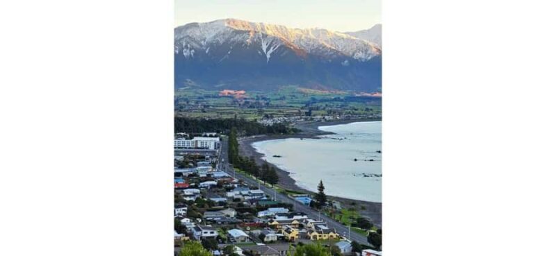 Lyttelton Port: Day Tour 3 options for Cruise Passengers - Who Should Consider These Tours?