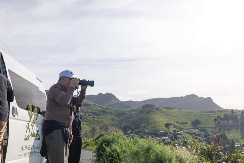 Lyttelton: Shore Excursion, Castle Hill & Inland Canterbury - FAQ