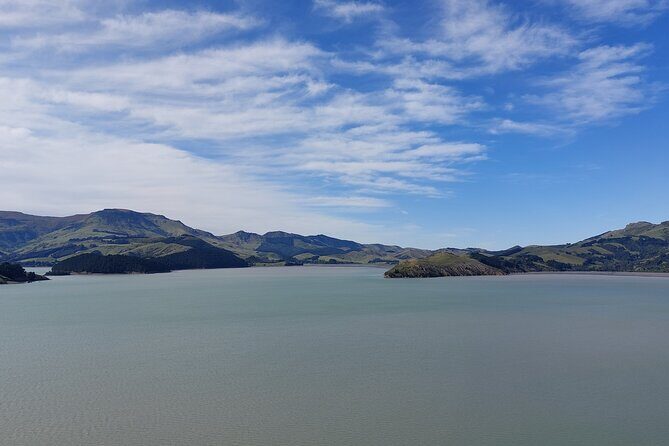 Lyttelton Shore Excursion: Christchurch Sightseeing with Antarctic Center - The Price & Overall Value
