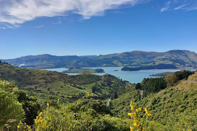 Lyttelton Shore Excursion: Christchurch Sightseeing with Jet Boating - Introduction: Why This Tour is Worth Considering