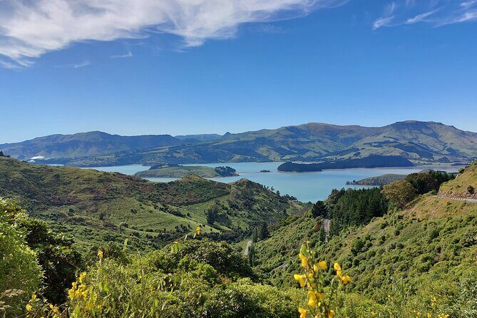 Lyttelton Shore Excursion: Christchurch & Willowbank Tour - What to Expect from the Christchurch & Willowbank Tour