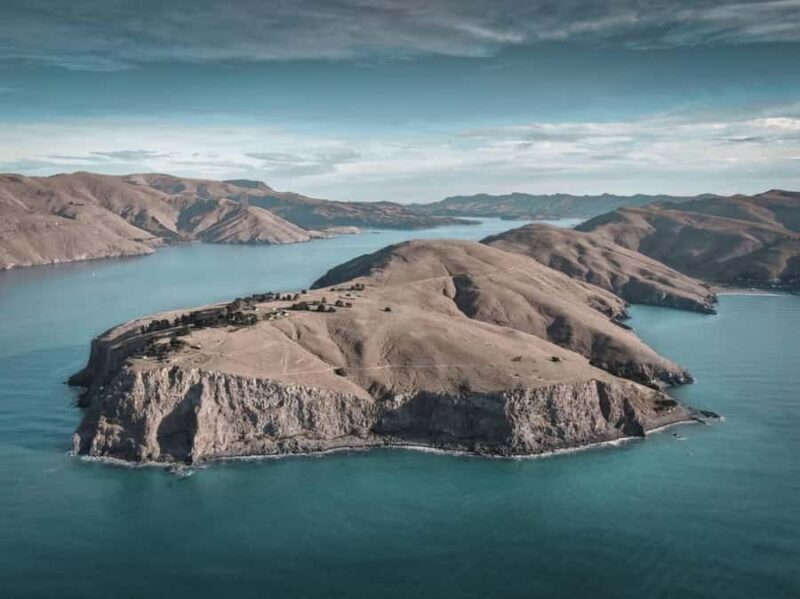 Lyttelton: Shore Excursion, Godley Head, Guided Walk - An In-Depth Look at the Tour Experience  