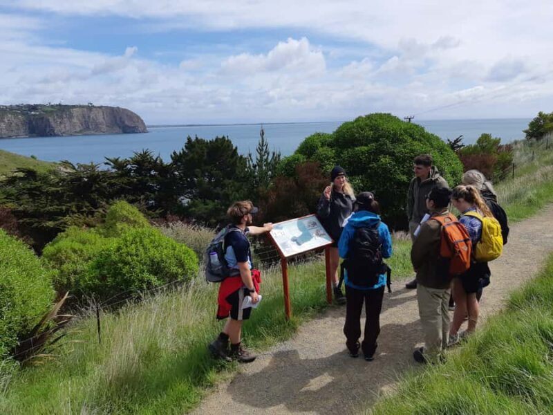 Lyttelton: Shore Excursion, Godley Head, Guided Walk - FAQs  