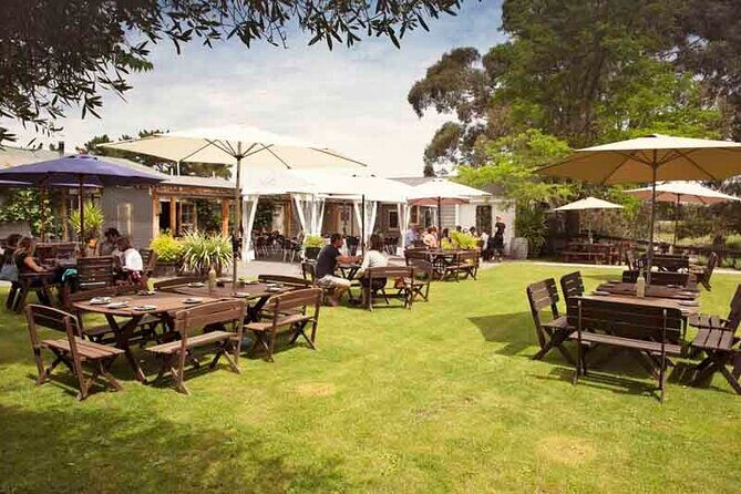 Lyttelton Shore Excursion - Waipara Wine Tour With Lunch - What Makes This Tour Stand Out?
