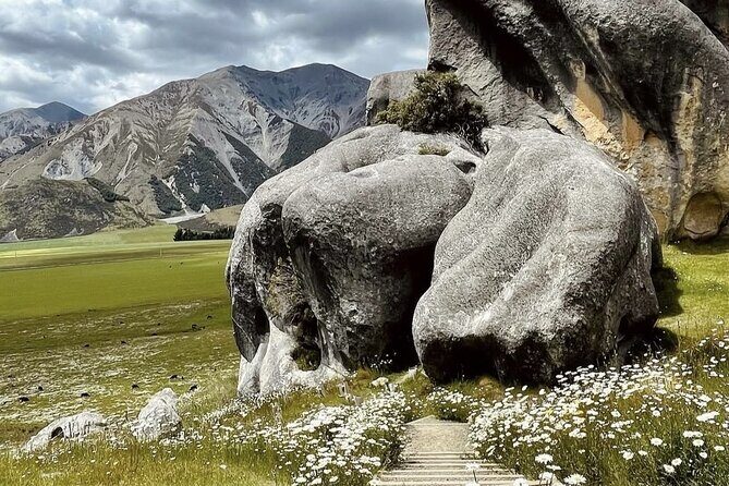 Lyttleton Port Excursion Day Tour 3 options for Cruise travelers - The Sum Up