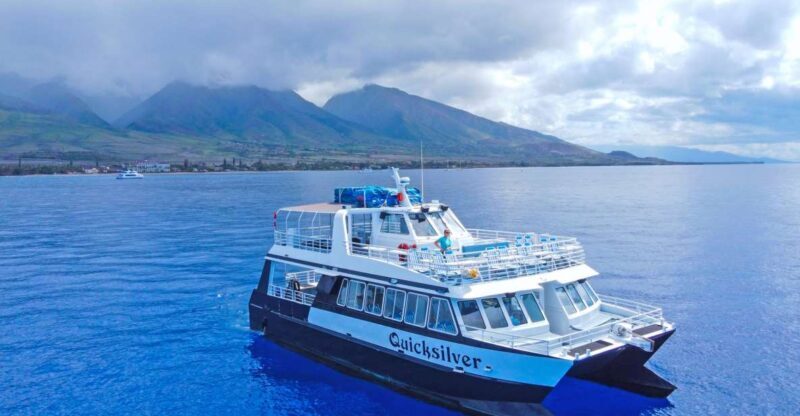 Ma'alaea Harbor: Whale Watching Tour Aboard Power Catamaran - An In-Depth Review of the Maalaea Whale Watching Experience