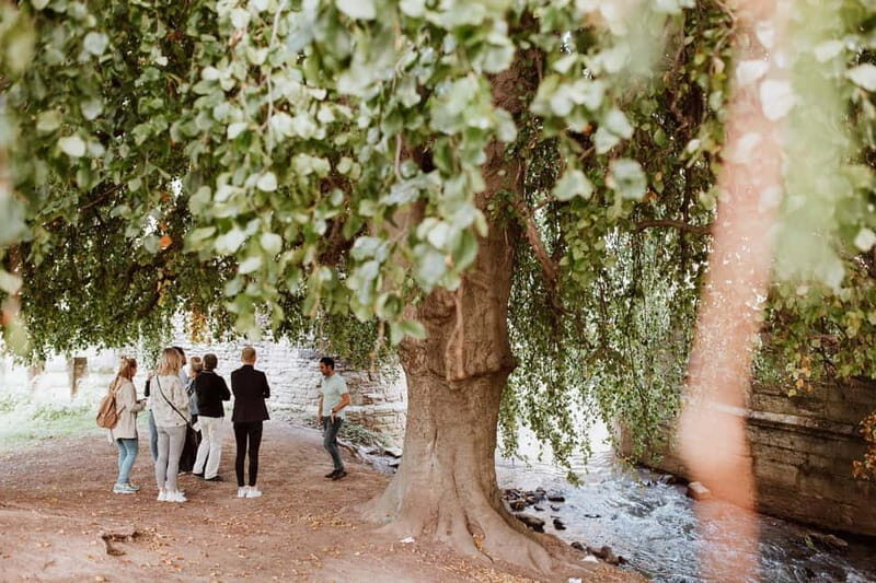 Maastricht: Highlights Tour with a local Guide - A Closer Look at the Maastricht Highlights Tour