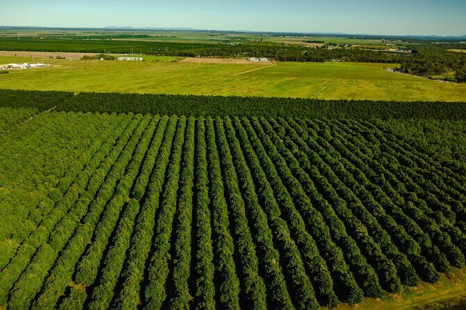 Macadamias Australia Orchard Tour in Bundaberg - FAQs