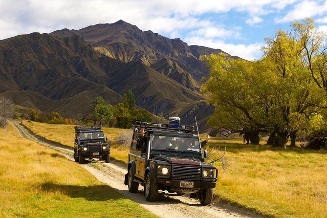 Macetown 4WD Adventure  Full Day Guided Tour from Queenstown - Key Points