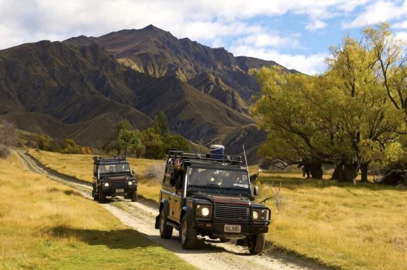 Macetown: Gold Heritage 4WD Full Day Tour from Queenstown - Who Will Love This Tour?