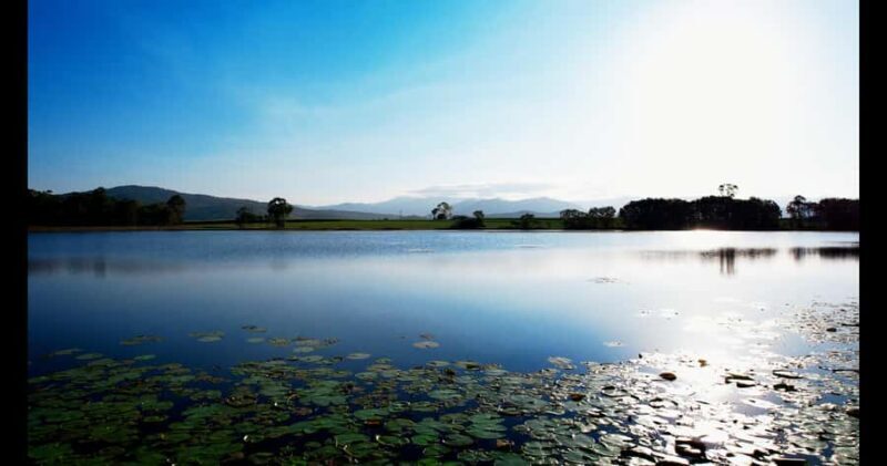 Mackay: 3 Hour Sugarcane Farm Tour - The Itinerary & What You Can Expect