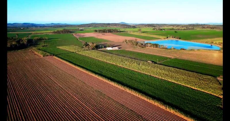 Mackay: 3 Hour Sugarcane Farm Tour - Who Will Love This Tour?