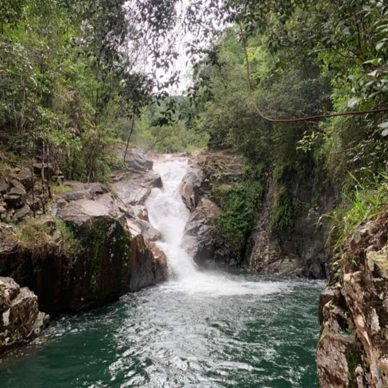 Mackay: Finch Hatton Gorge Hike, Swim & Platypus Adventure - A Closer Look at the Tour Itinerary