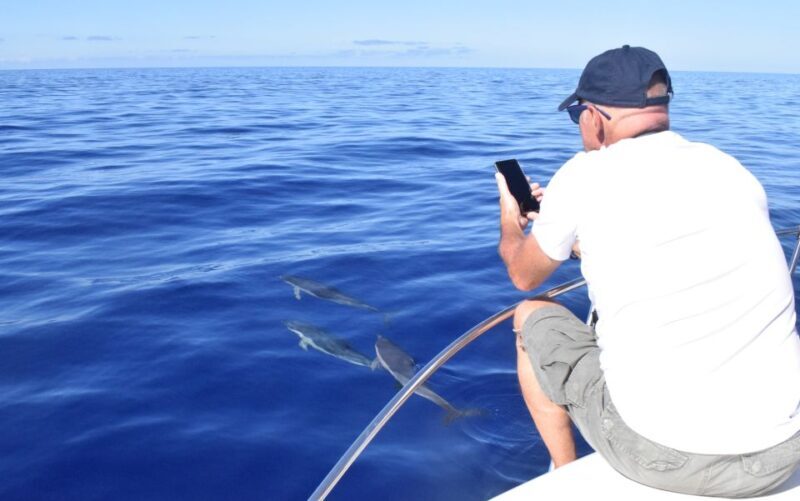 Madeira: 2.5-Hour Whale and Dolphin-Watching Cruise - Who Should Consider This Tour?