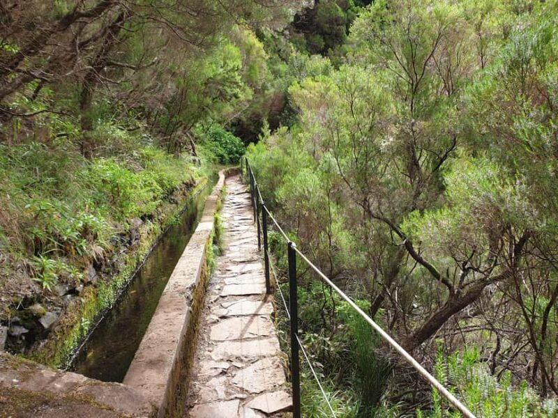 Madeira: 25 Fountains Rabaçal Forest Walk - Practical Details That Matter