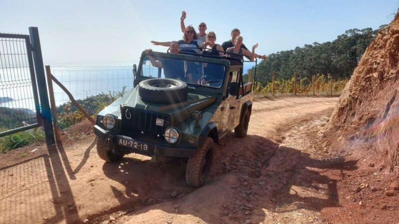 Madeira: 4 hours Open Roof Jeep tour in Central Madeira - What Reviewers Say