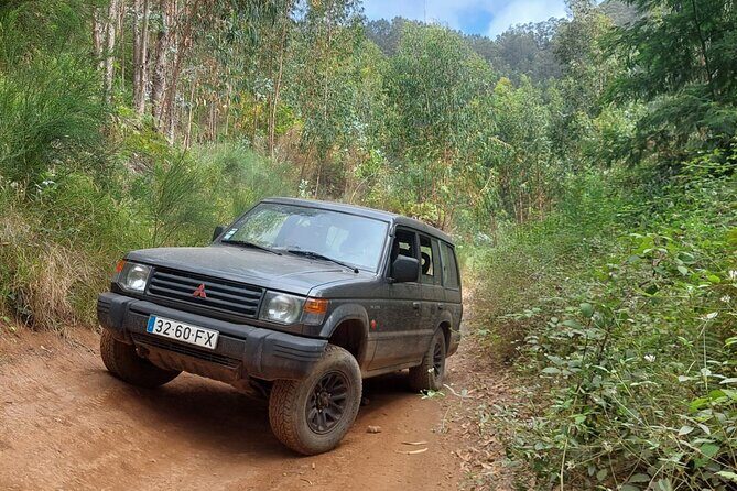 Madeira 4x4 Jeep Safari : Porto Moniz, Lava Pools & Fanal Forest - A Deep Dive into the Madeira 4x4 Jeep Safari Experience