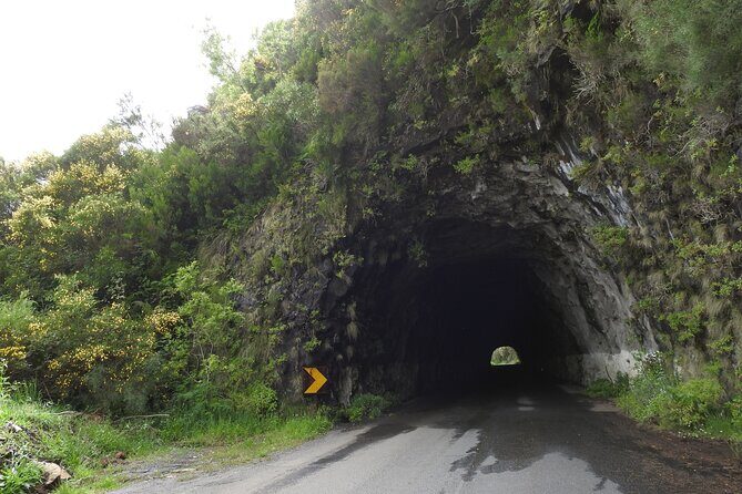 Madeira 4x4 Jeep Safari : Porto Moniz, Lava Pools & Fanal Forest - Final Thoughts