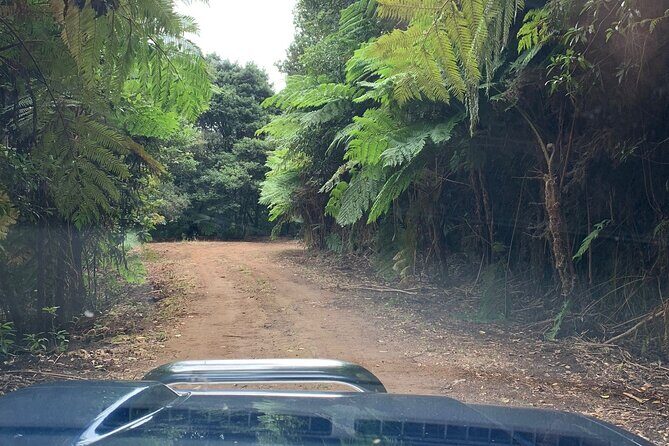 Madeira 4x4 Jeep Tour : Pico Arieiro & Santana Traditional Houses - The Iconic Santana Houses