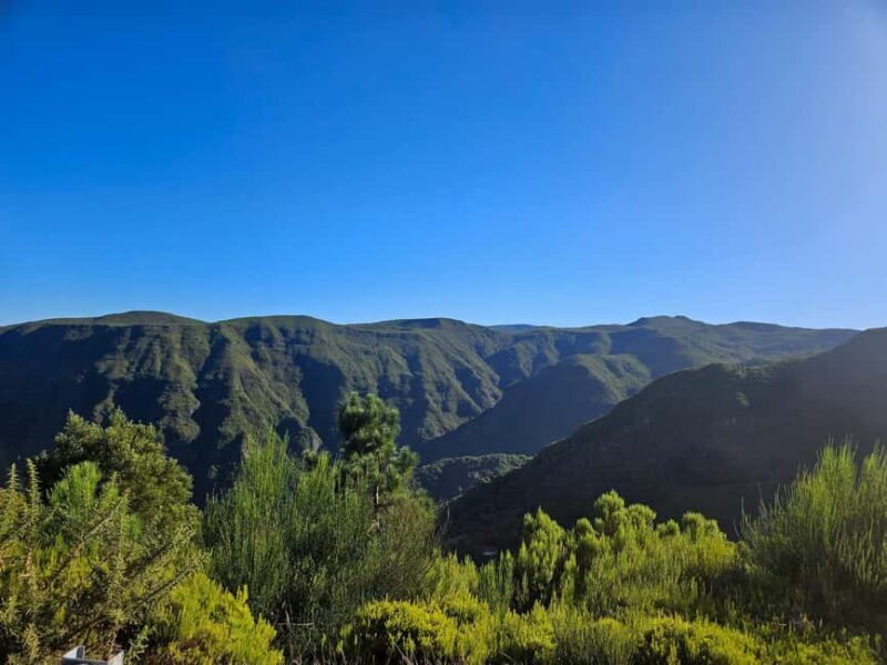 Madeira Adrenaline 4x4 Tour: Zipline, Giant Swing and Seixal - FAQ