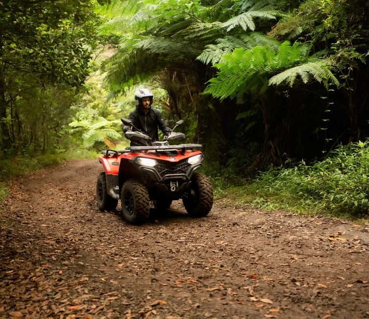 Madeira: Aventura Off-Road de ATV ou Quad - Adrenalina - An Adventurous Look at Madeira’s Best-Kept Scenic Secrets