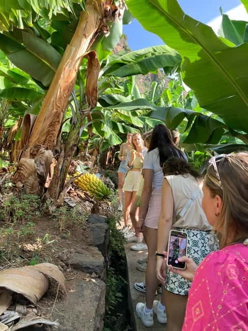 Madeira: Banana Plantation Guided Tour with Tasting - Meeting Point and Logistics