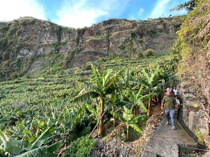 Madeira: Banana Plantation Guided Tour with Tasting - Who Will Appreciate This Tour?