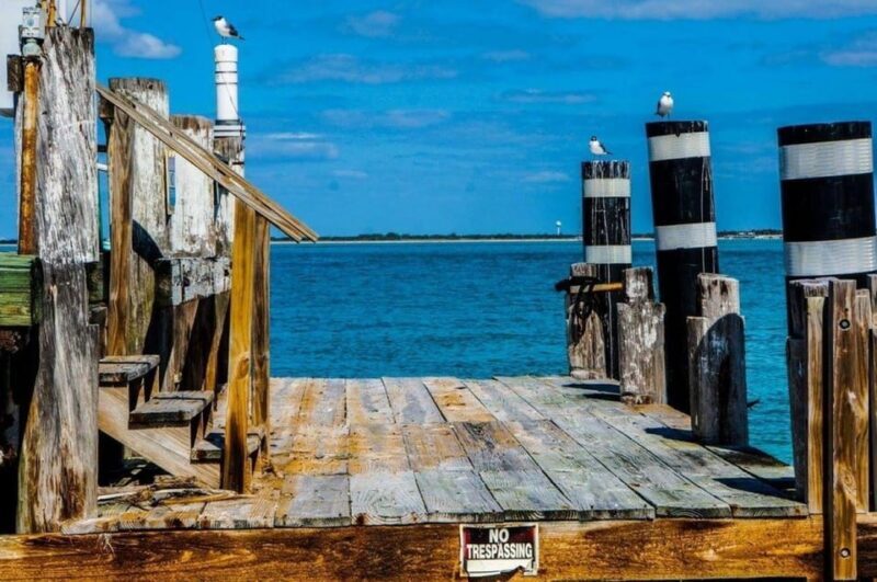 Madeira Beach: Egmont Key Snorkeling and Dolphin Cruise - Frequently Asked Questions