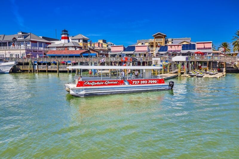 Madeira Beach: Guided Dolphin Watching Eco-Friendly Cruise - An In-Depth Look at the Madeira Beach Dolphin Cruise