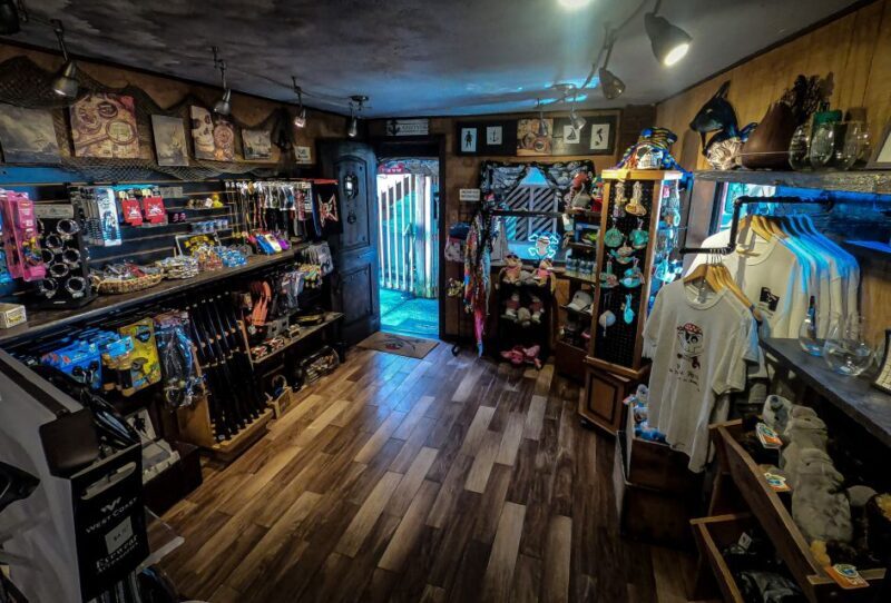 Madeira Beach: Pirate Adventure Cruise - Duration and Timing