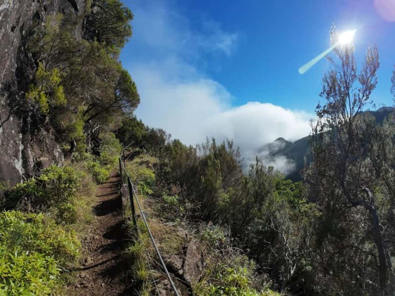 Madeira: Bica da Cana to Encumeada Guided Hike with Pickup - Key Points