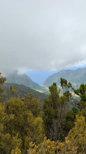 Madeira: Bica da Cana to Encumeada Guided Hike with Pickup - A Deep Dive into the Madeira Hiking Experience