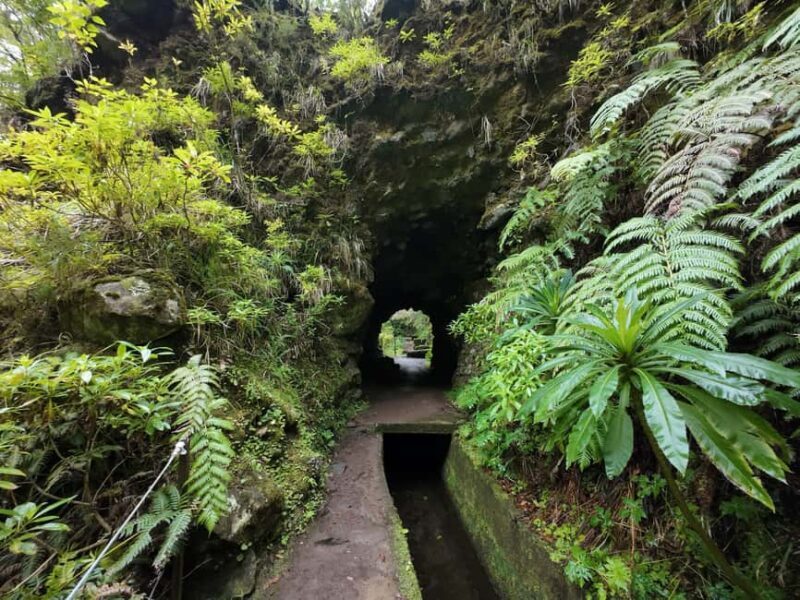 Madeira: Bica da Cana to Encumeada Guided Hike with Pickup - Final Thoughts