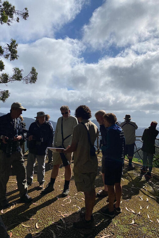 Madeira: Birdwatching - The Endemics - A Closer Look at the Tour Experience
