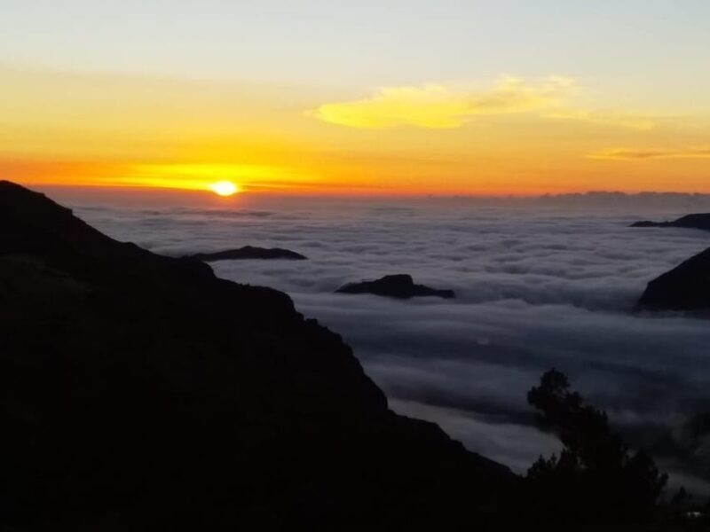 Madeira: Birdwatching - The Endemics - The Itinerary in Detail