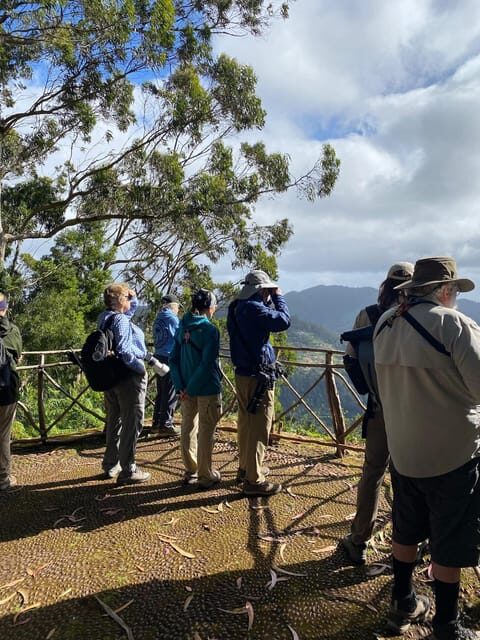 Madeira: Birdwatching - The Endemics - Who Will Love This Tour?
