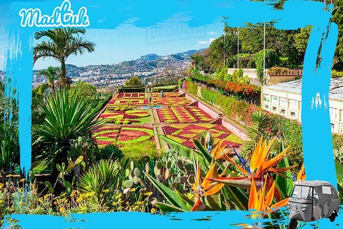 Madeira Botanical Gardens and Old Town Tuk Tuk Tour by MadTuk - Key Points