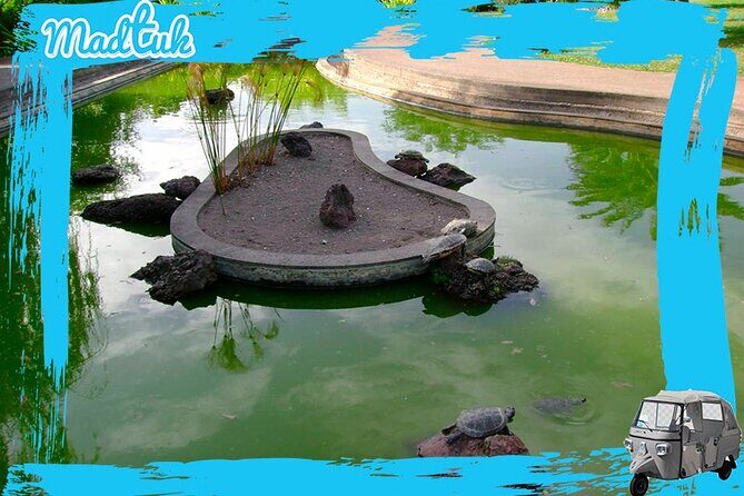 Madeira Botanical Gardens and Old Town Tuk Tuk Tour by MadTuk - FAQ