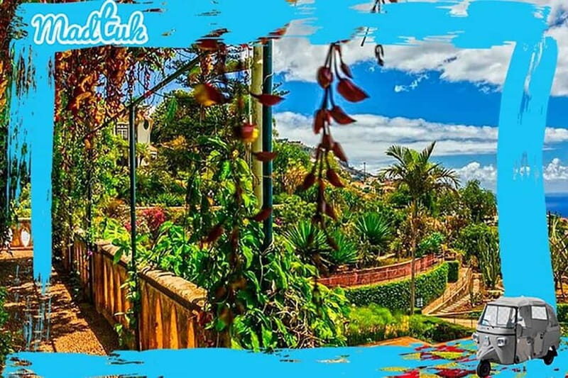 Madeira: Botanical Gardens + Old Town Tuk-Tuk Tour by MadTuk - A Close Look at the Madeira Botanical Gardens + Old Town Tuk-Tuk Tour