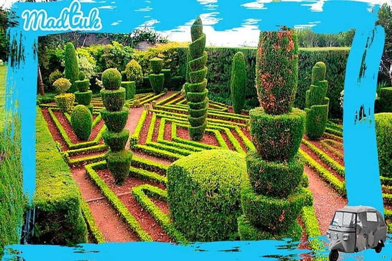 Madeira: Botanical Gardens + Old Town Tuk-Tuk Tour by MadTuk - Final Thoughts