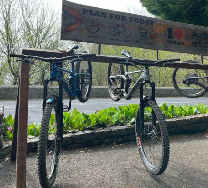 Madeira Botanical Levels Bike Tour  Scenic Trail Experience - Who Will Love This Tour?