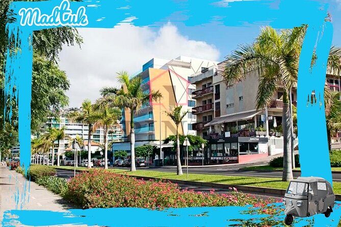 Madeira Cabo Girão Skywalk and Câmara de Lobos Tuk Tour By MadTuk - Full Review of the Madeira Cabo Girao Skywalk and Câmara de Lobos Tuk Tour