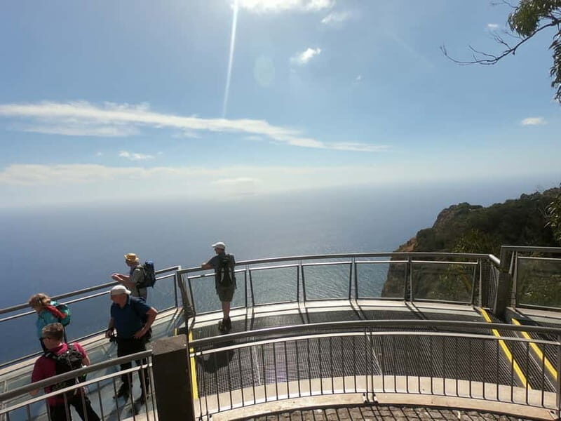 Madeira: Cabo Girão, Wines Experience and Dolphins Watching - Final Thoughts: Is This Tour Worth It?