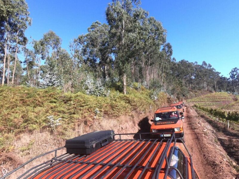 Madeira: Câmara de Lobos & Cabo Girão Half-Day Jeep Tour - Authentic Experiences and Practical Details