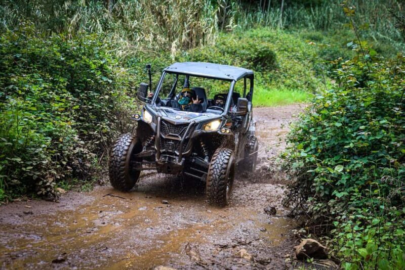 Madeira: Can-Am Off-Road Buggy Guided Adventure - The Authentic Touch: What Past Participants Say